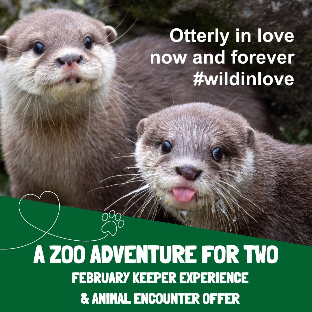 2-for-1 Dual Keeper Experience and Animal Encounter Offer for Valentine ...