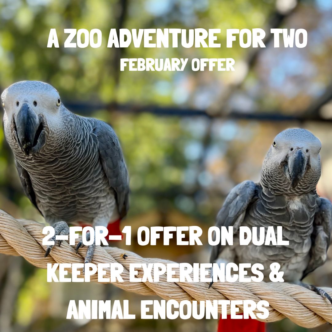 2-for-1 Dual Keeper Experience and Animal Encounter Offer for Valentine ...