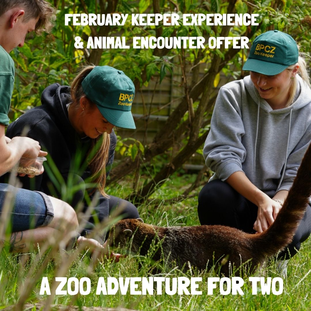 2-for-1 Dual Keeper Experience and Animal Encounter Offer for Valentine ...